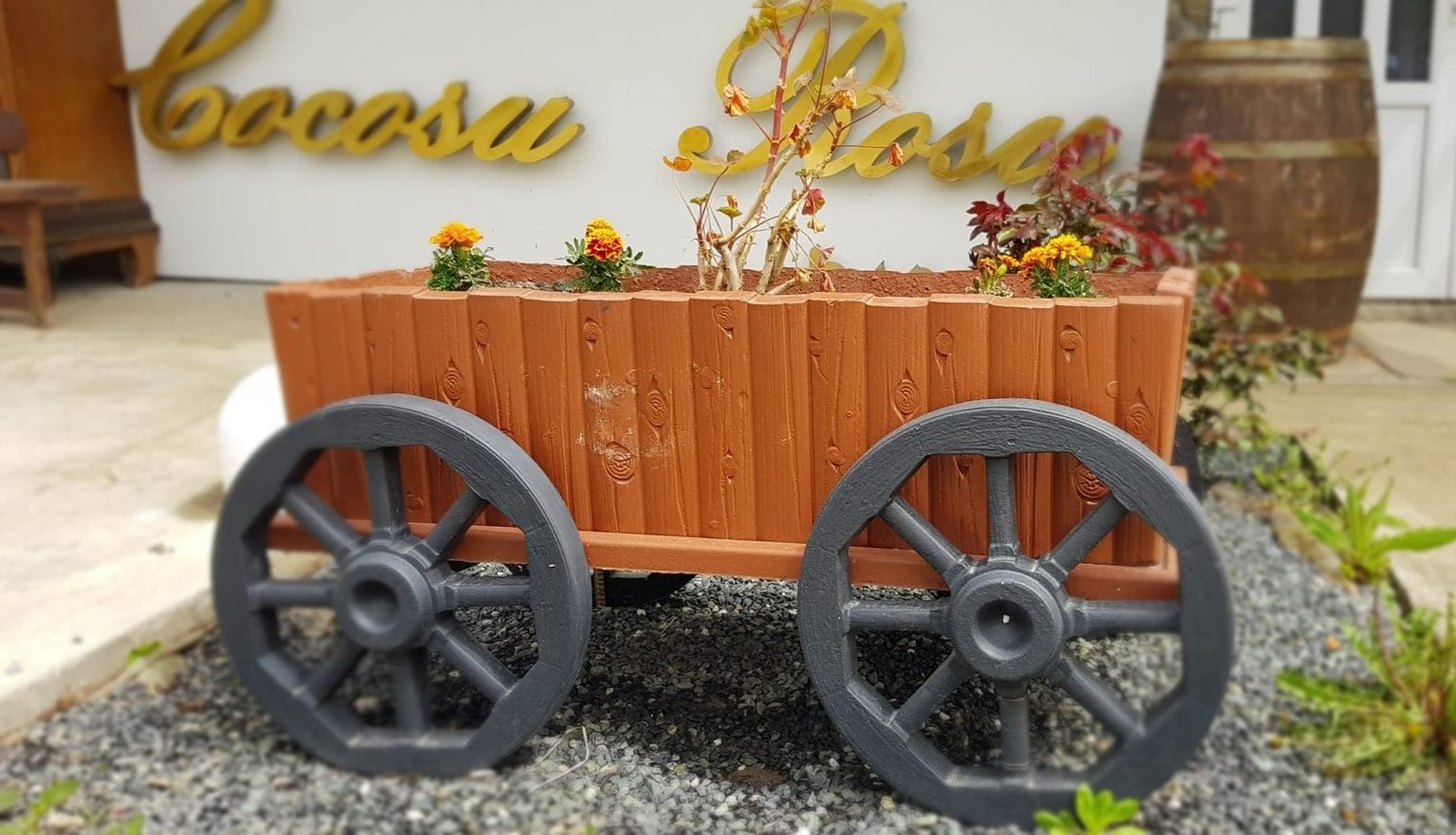 Descoperă povestea noastră!